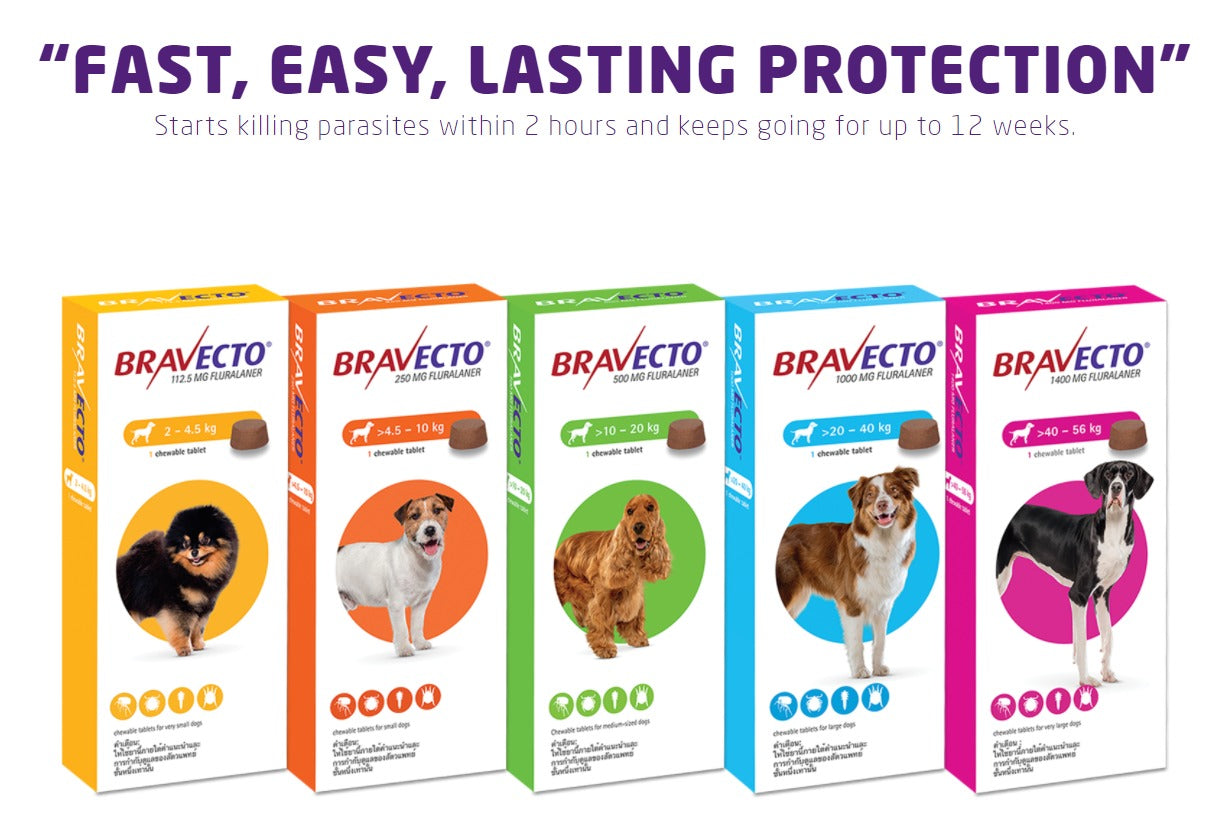 Bravecto Review – The Ultimate Solution for Flea and Tick Protection