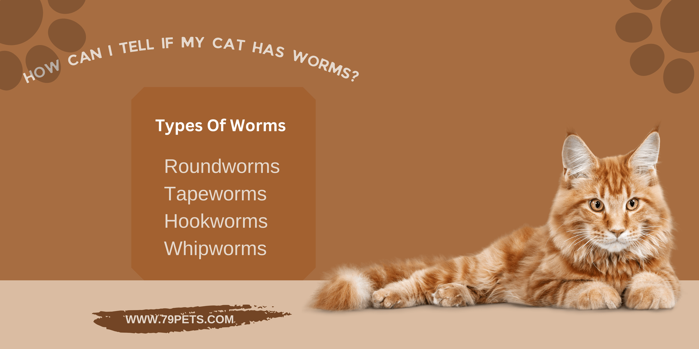 roundworms cats