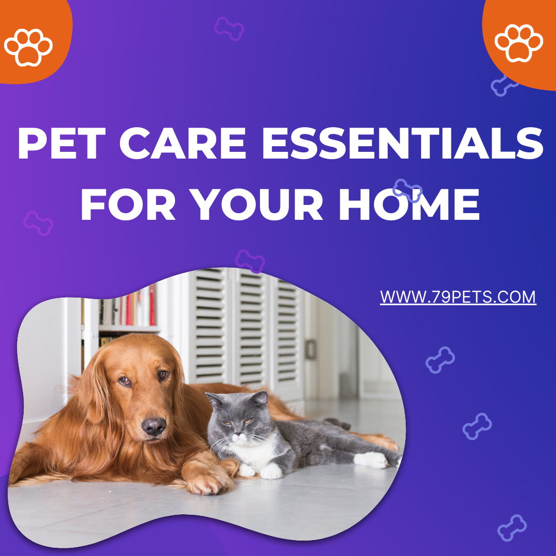 Pet Care Essentials For Your Home