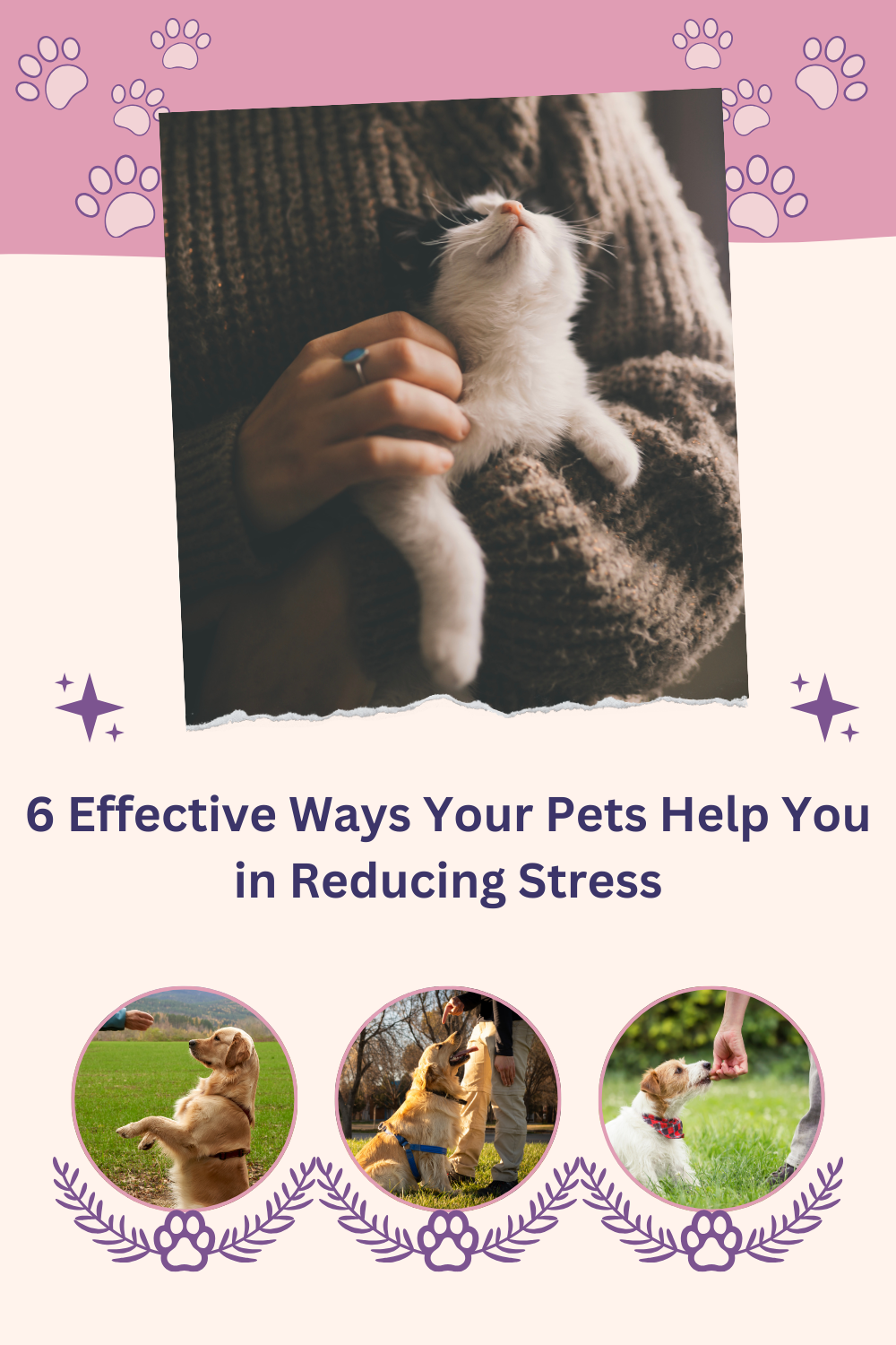 6 Effective Ways Your Pets Help You in Reducing Stress