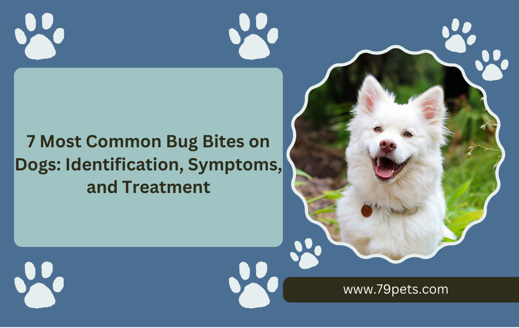 7 Most Common Bug Bites on Dogs: Identification, Symptoms, and Treatme
