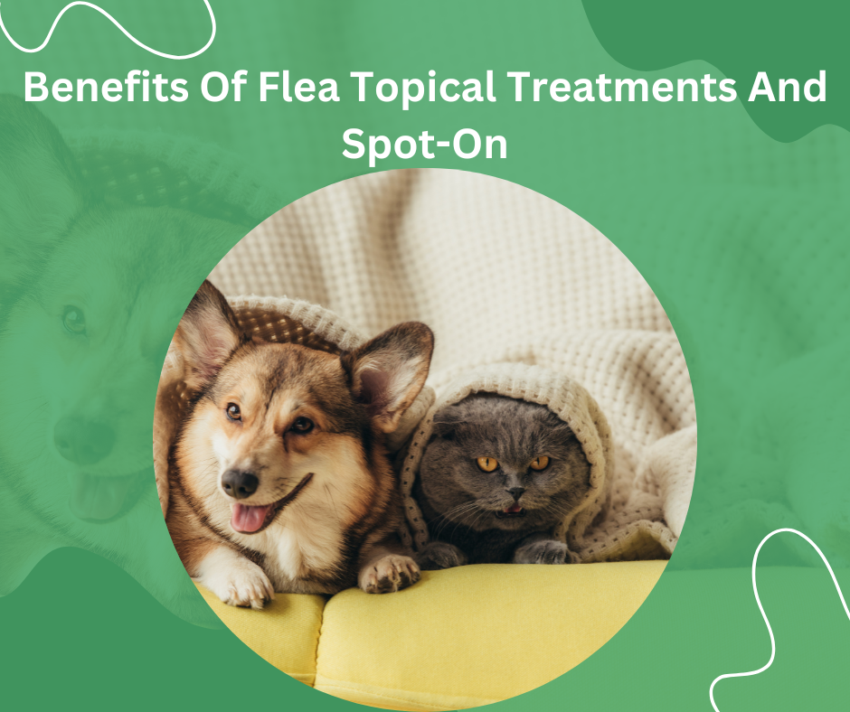 Benefits Of Flea Topical Treatments And Spot-On