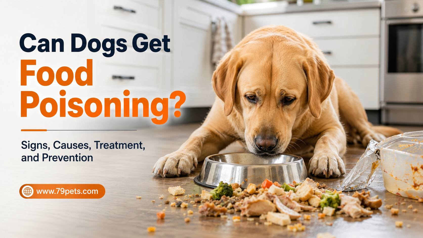 Can Dogs Get Food Poisoning? Signs, Causes, Treatment, and Prevention