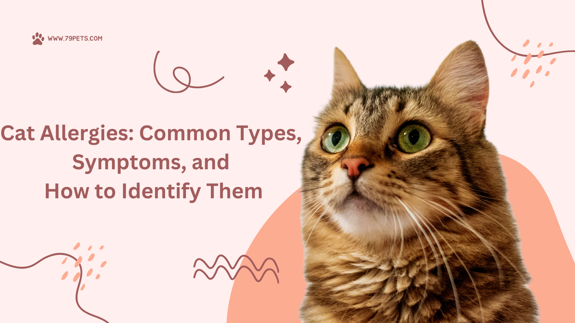 Cat Allergies: Common Types, Symptoms, and How to Identify Them