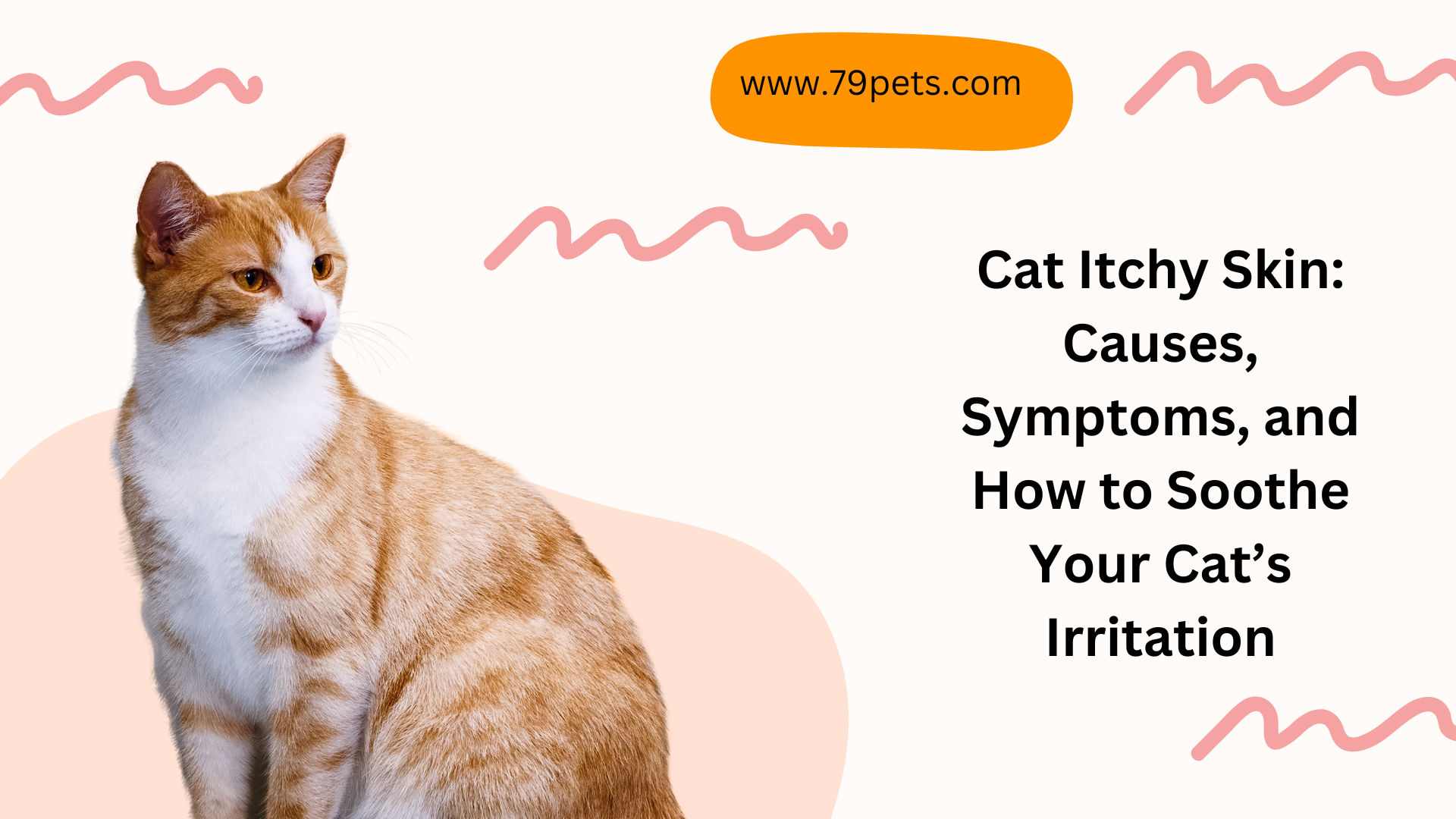Cat Itchy Skin: Causes, Symptoms, and How to Soothe Your Cat’s Irritat