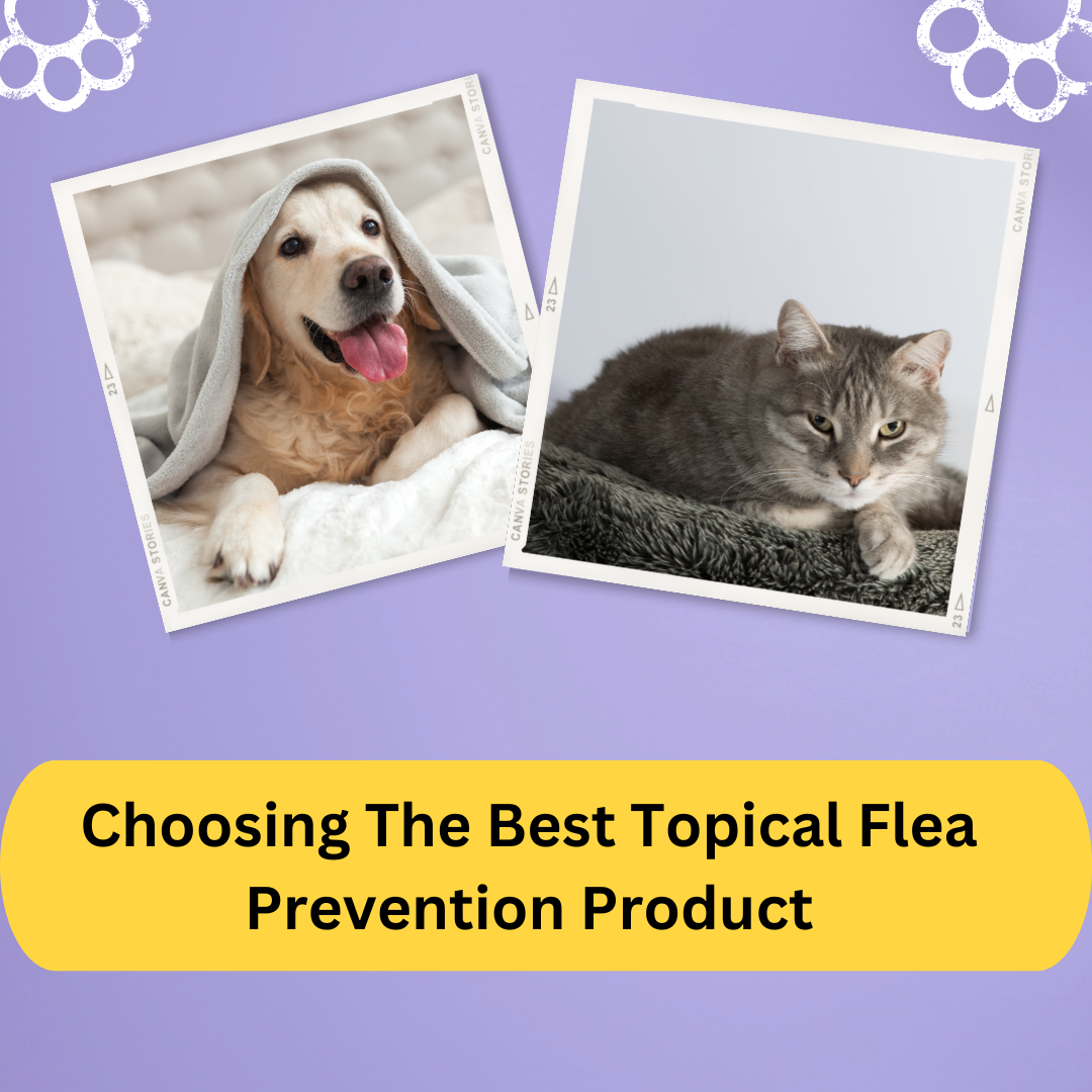 Choosing The Best Topical Flea Prevention Product