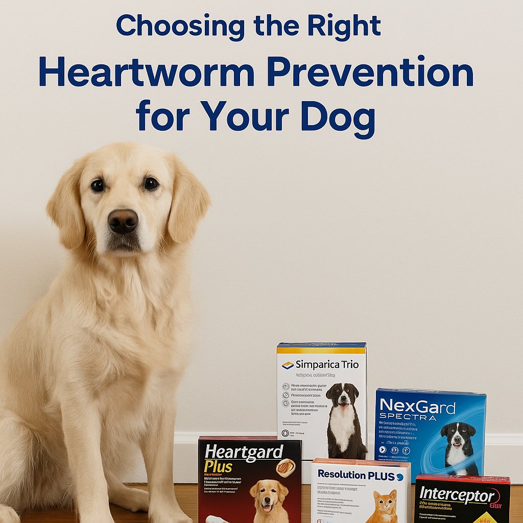 Choosing the Right Heartworm Prevention for Your Dog: A Complete Pet P