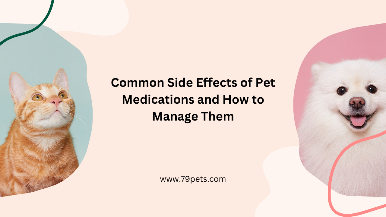 Common Side Effects of Pet Medications and How to Manage Them