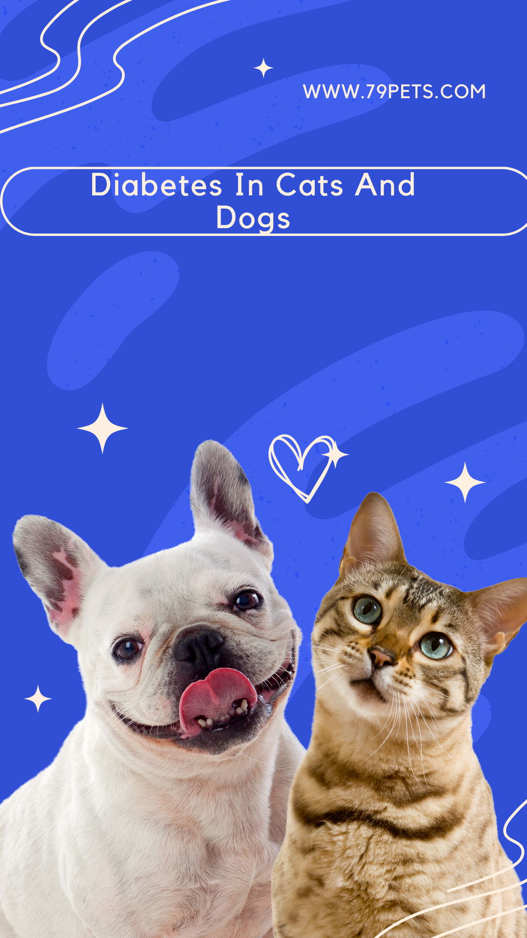 Diabetes In Cats And Dogs