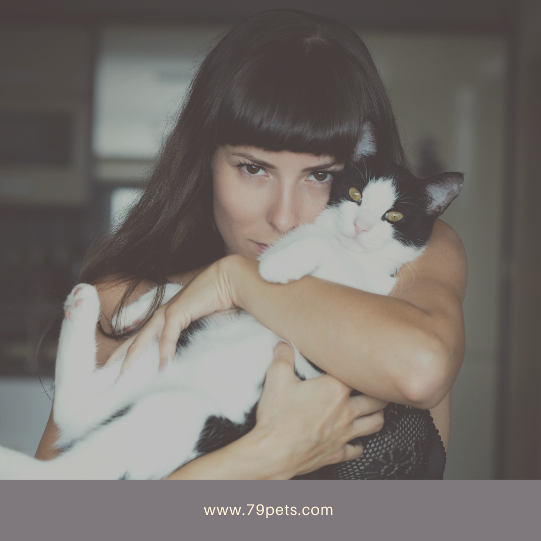 Do Cats Understand Human Hugs? A Closer Look at Feline Affection
