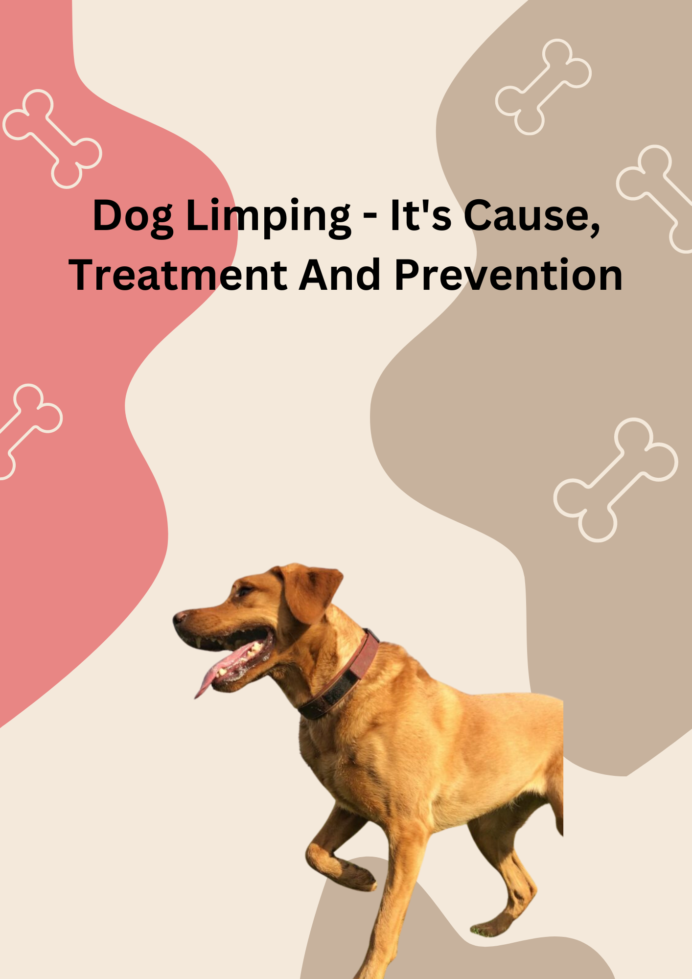 Dog Limping - It's Cause, Treatment And Prevention