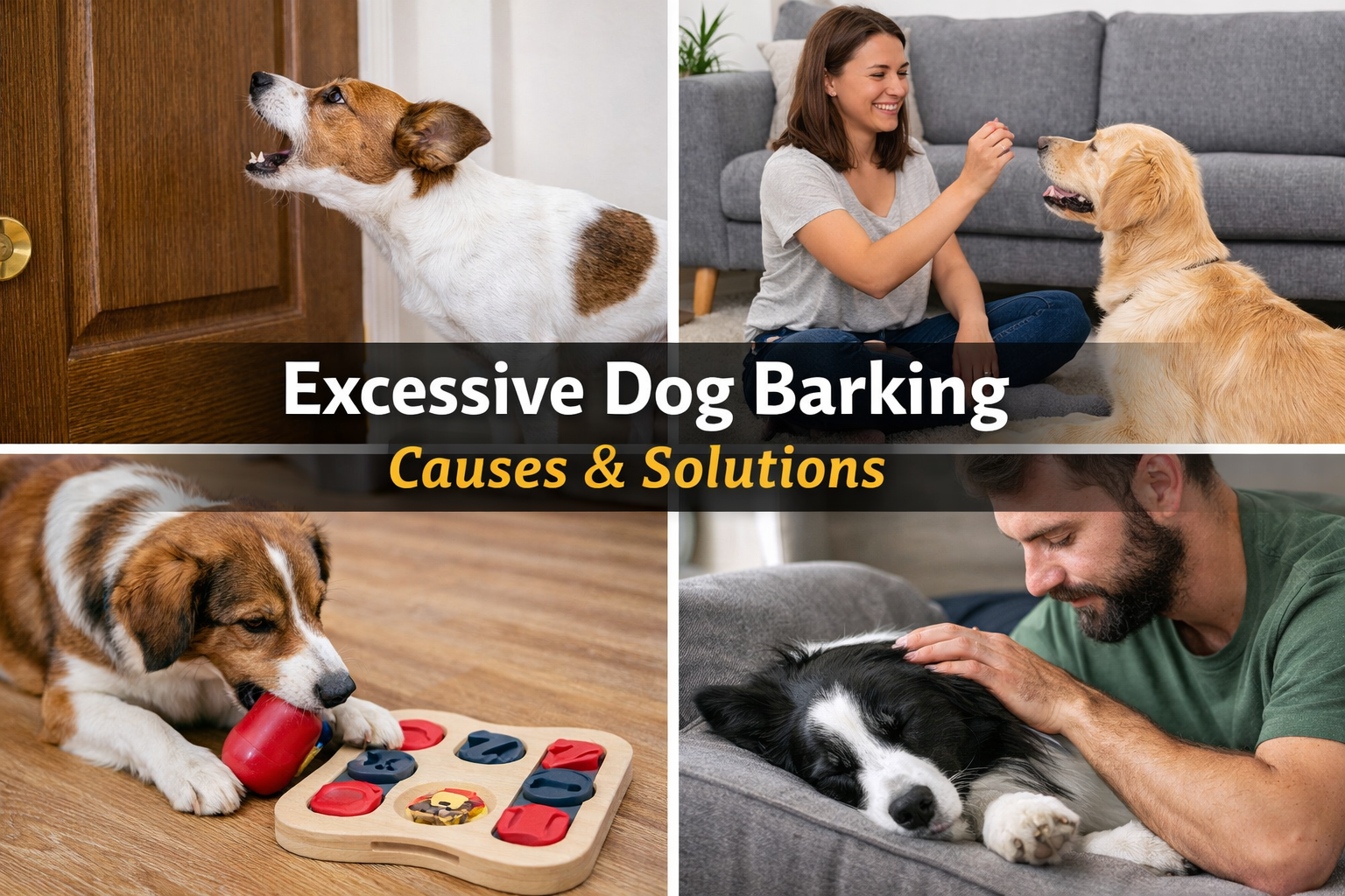 Excessive Dog Barking: Causes, Solutions & Training Tips