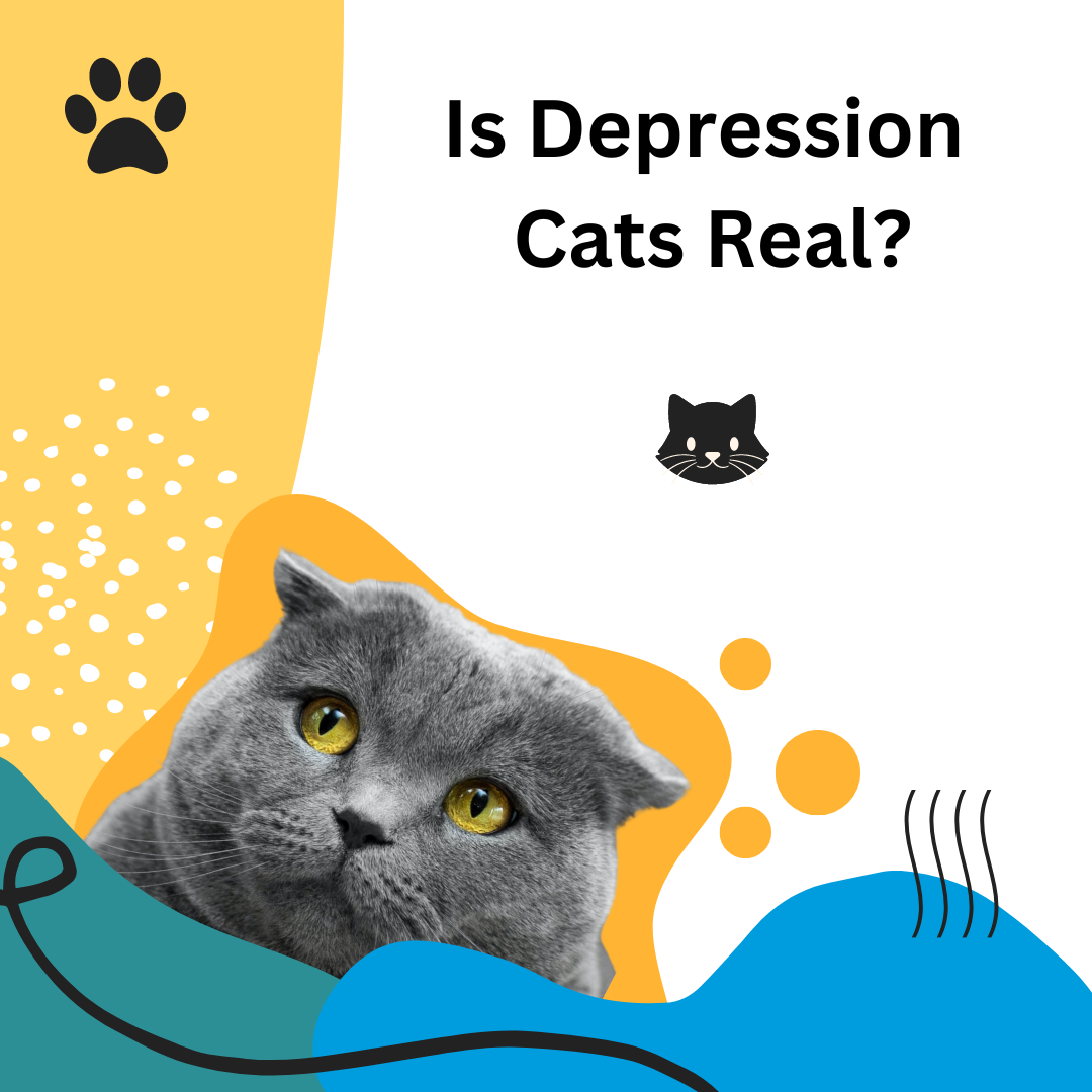 Is Depression In Cats Real?