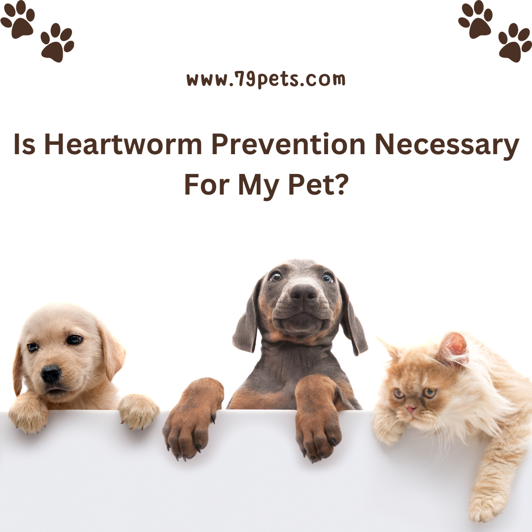 Is Heartworm Prevention Necessary For My Pet?