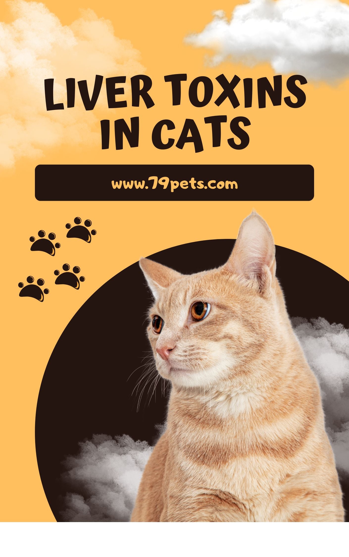 Liver Toxins In Cats