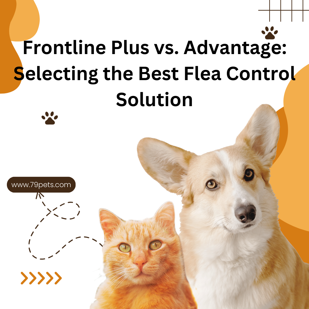 Frontline Plus vs. Advantage: Selecting the Best Flea Control Solution