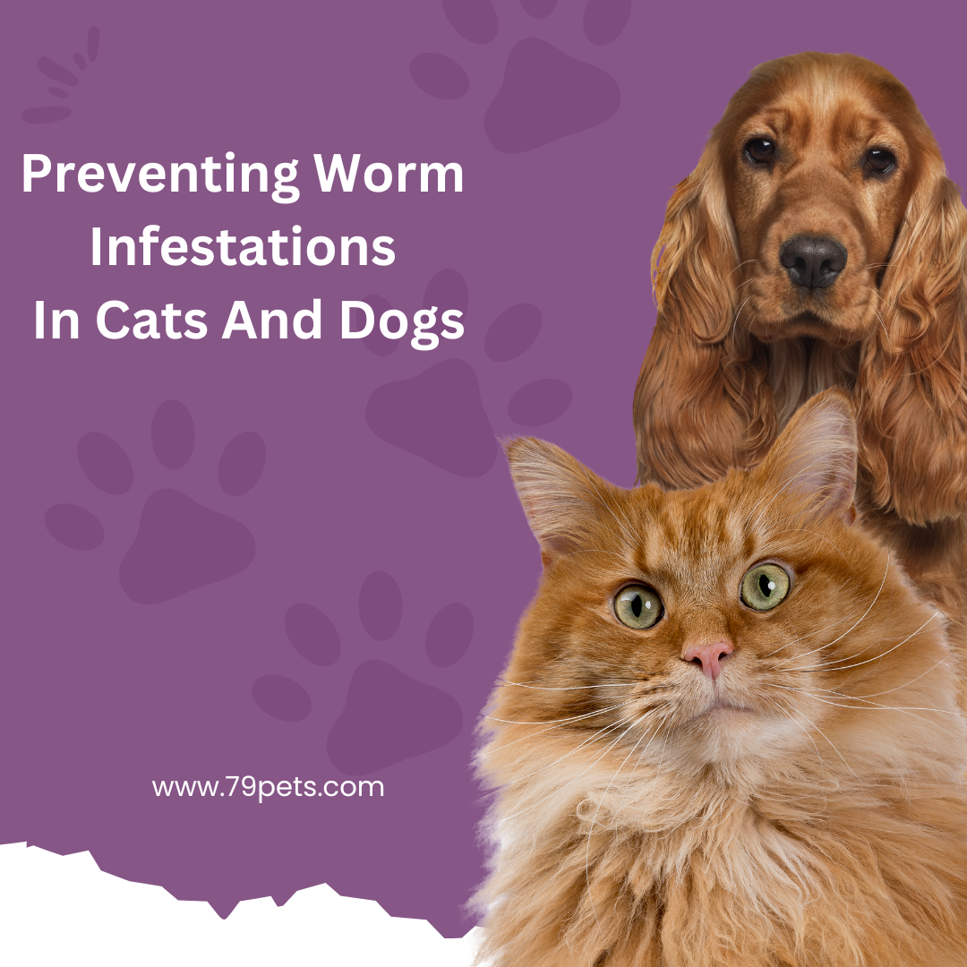 Preventing Worm Infestations In Cats And Dogs