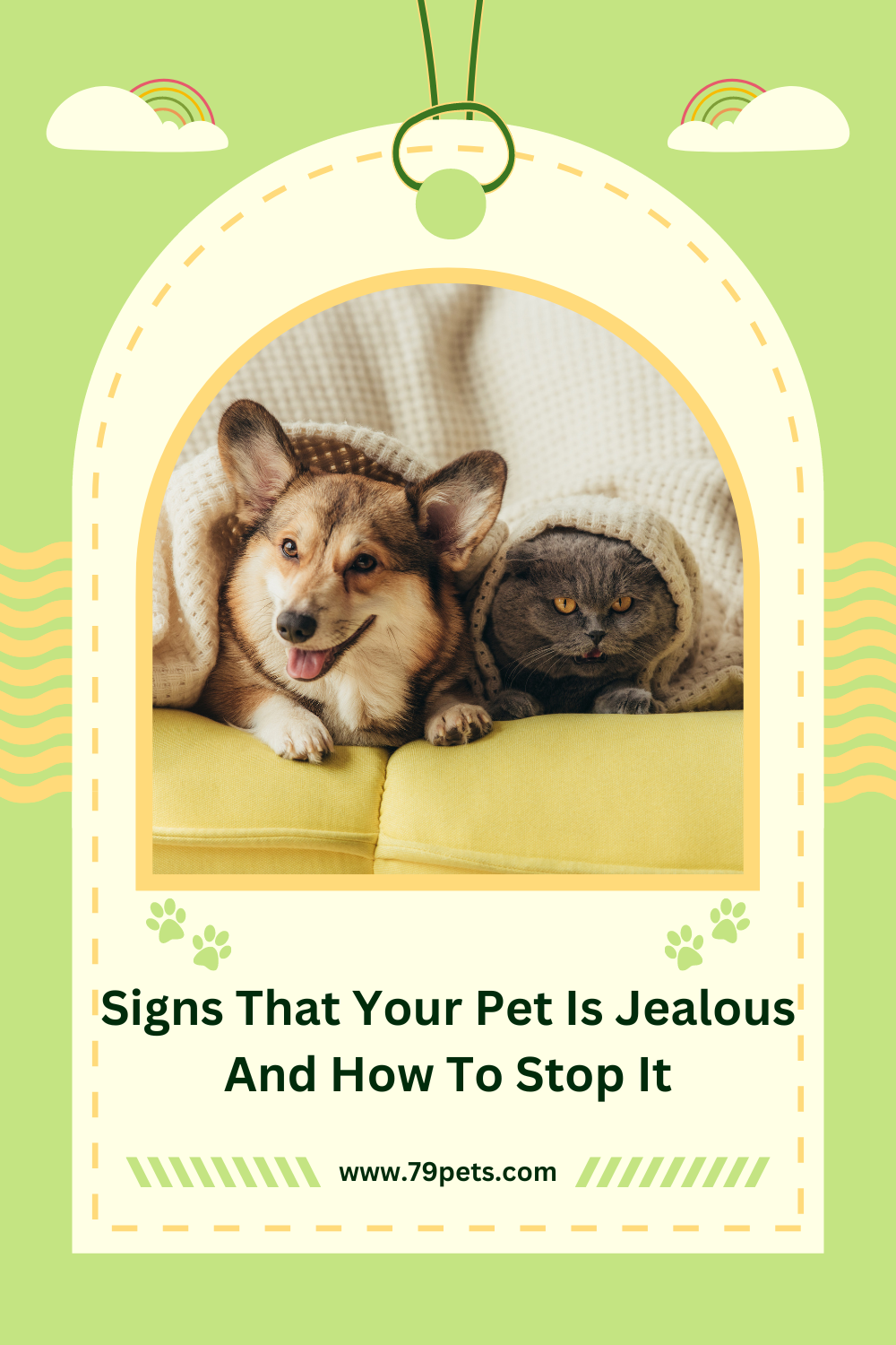 Signs That Your Pet Is Jealous And How To Stop It