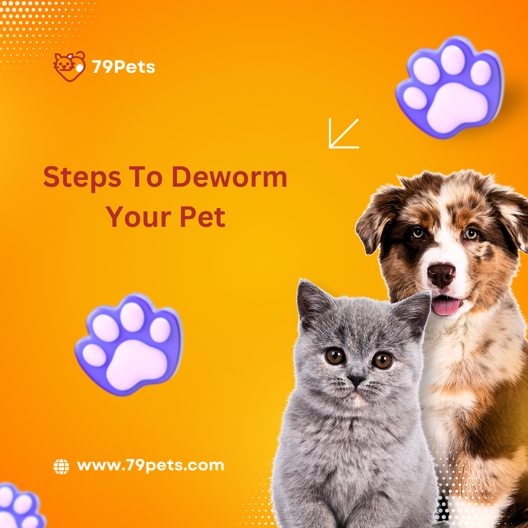 Steps To Deworm Your Pet