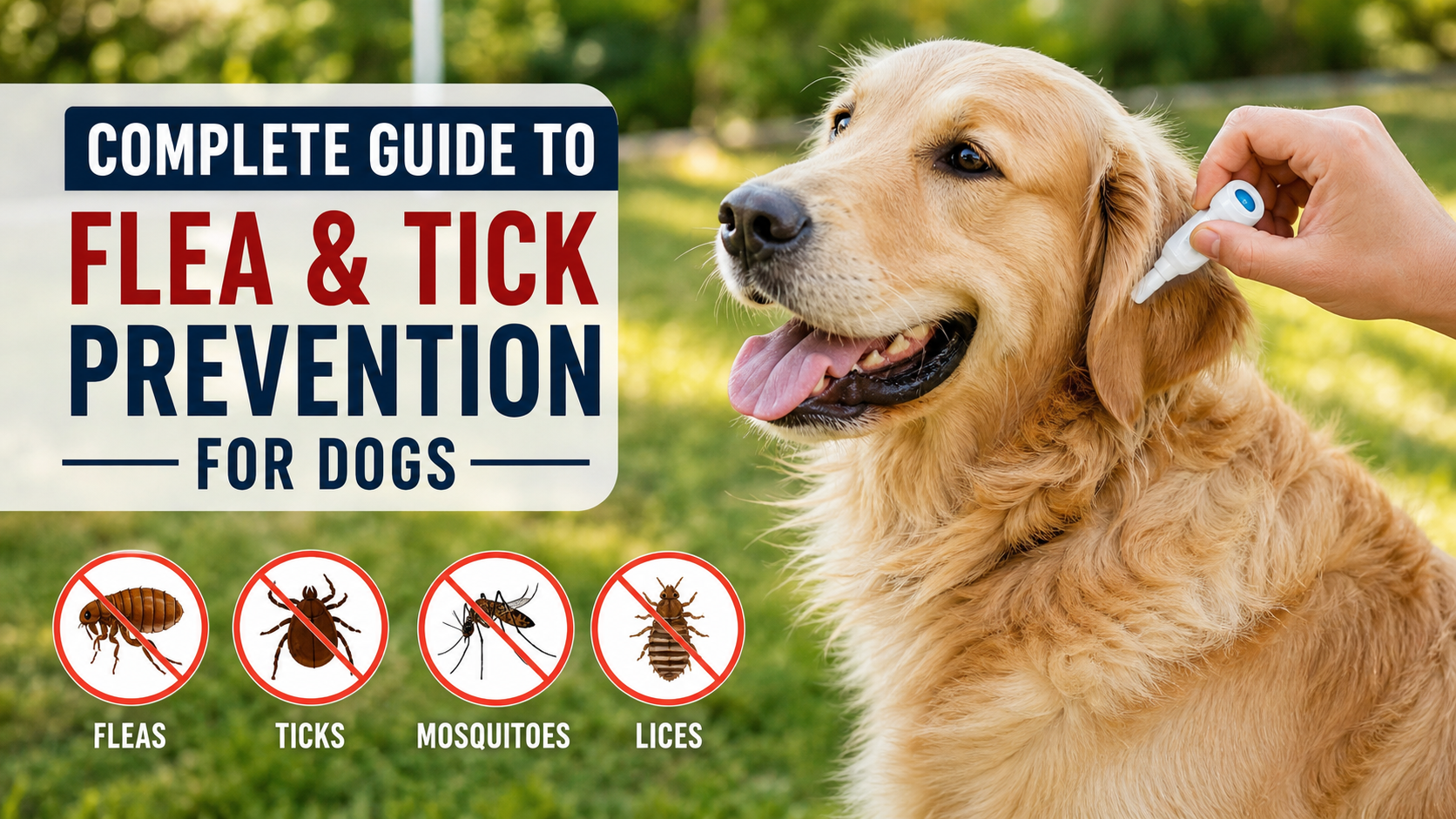 The Smart Dog Owner’s Guide to Flea & Tick Prevention (2026 Edition)