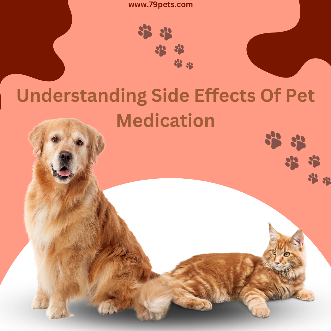 Understanding Side Effects Of Pet Medication