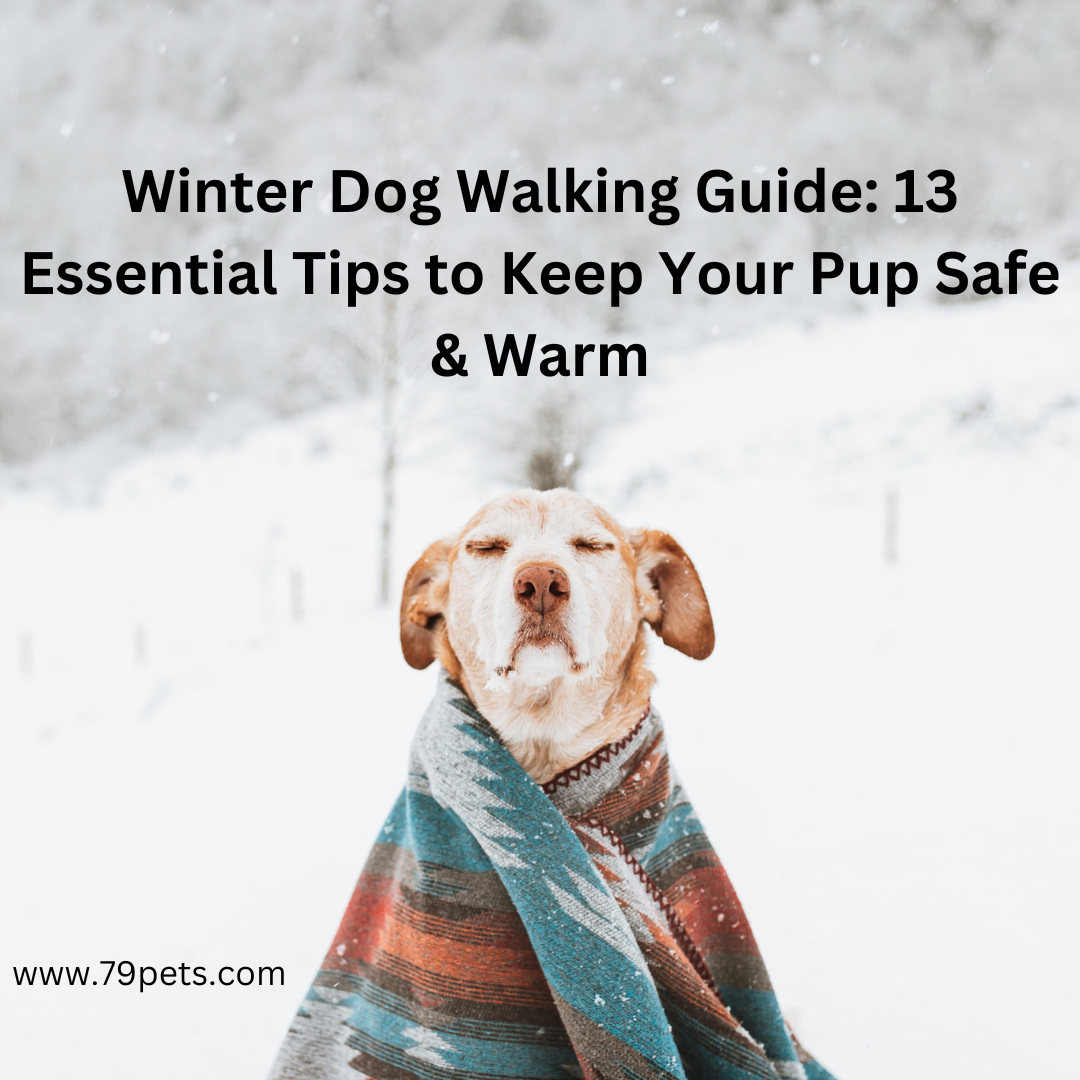 Winter Dog Walking Guide: 13 Essential Tips to Keep Your Pup Safe & Wa
