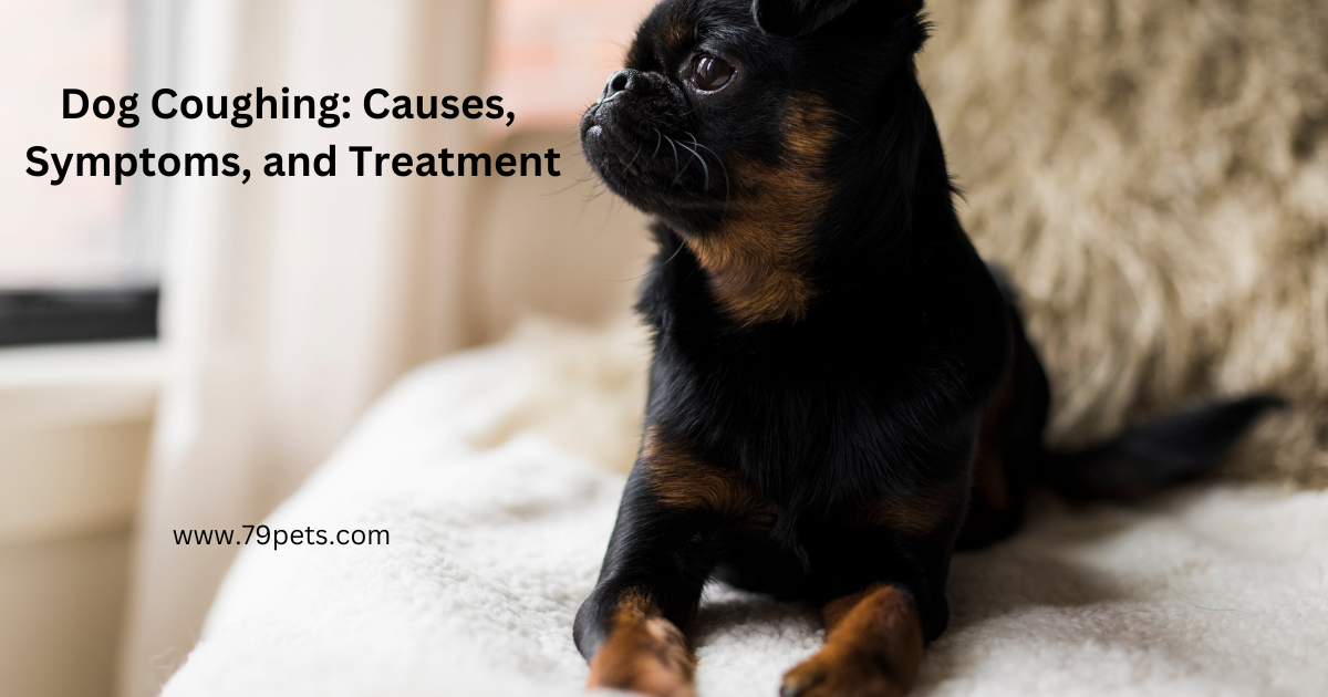 Dog Coughing: Causes, Symptoms, and Treatment