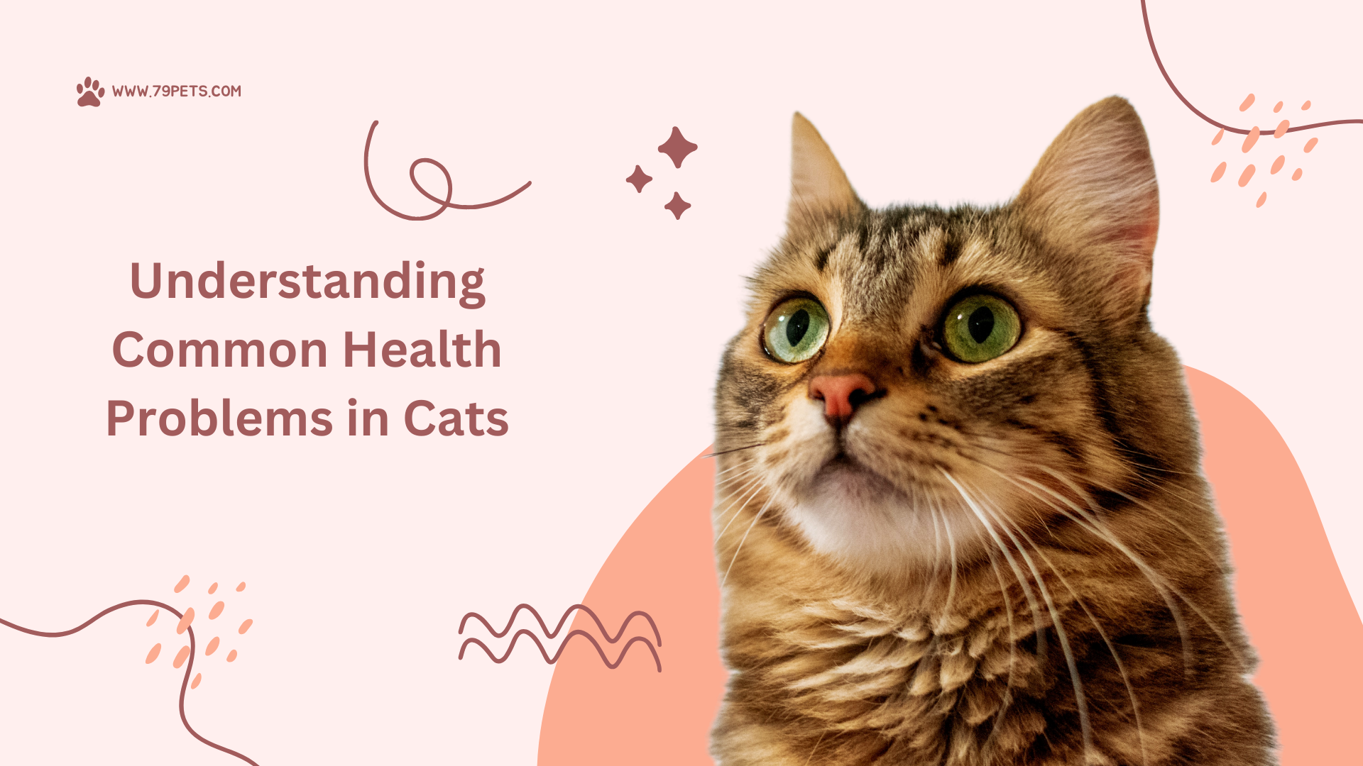 Understanding Common Health Problems in Cats