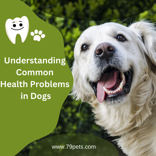 Understanding Common Health Problems in Dogs