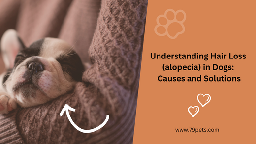 Understanding Hair Loss (alopecia) in Dogs: Causes and Solutions