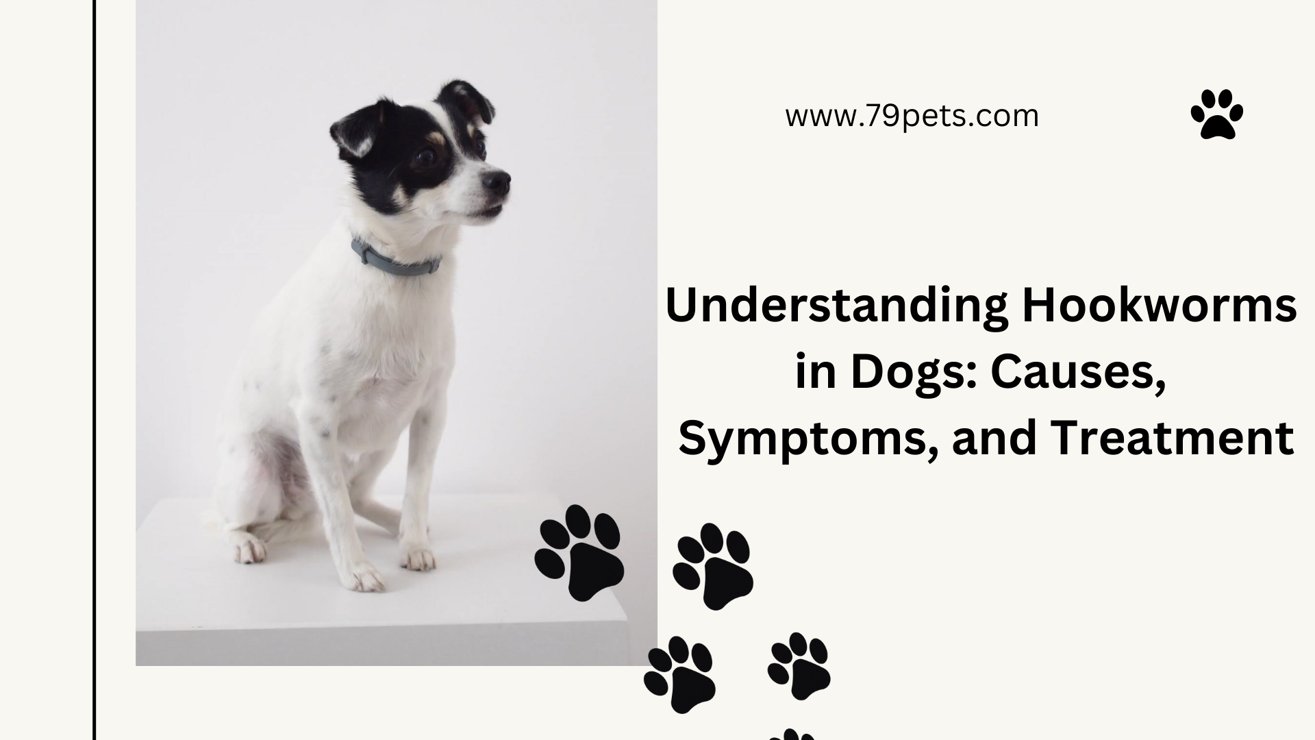 Understanding Hookworms in Dogs: Causes, Symptoms, and Treatment
