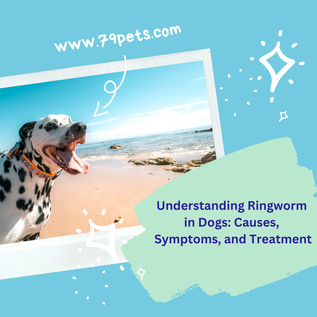 Understanding Ringworm in Dogs: Causes, Symptoms, and Treatment