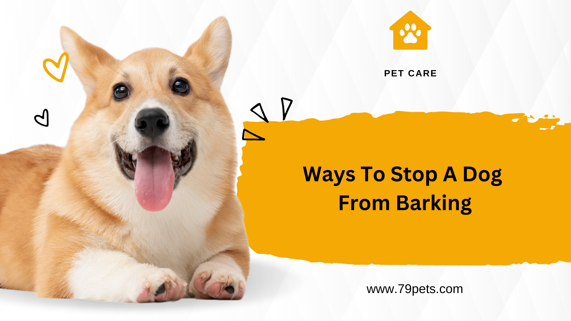 Ways To Stop A Dog From Barking