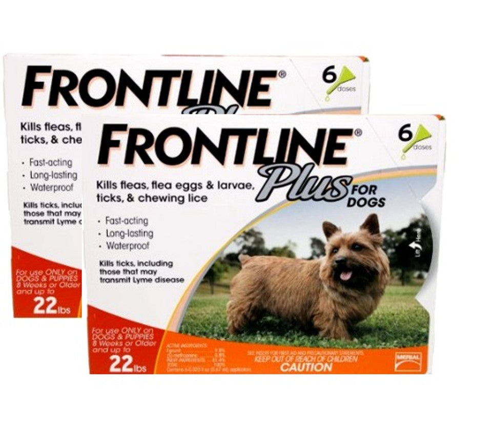 Frontline Plus For Small Dog kills Flea & Tick | 79PETS