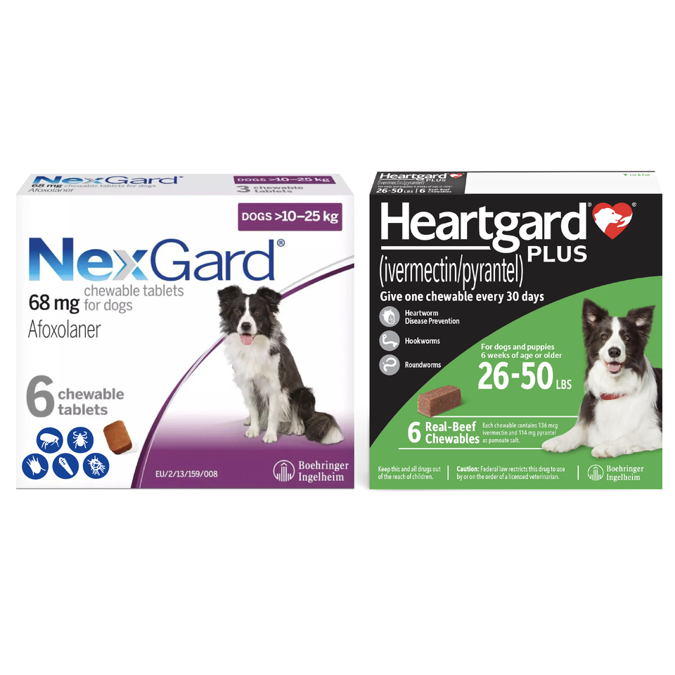 NexGard Plus vs NexGard Spectra: Which One Is Right for Your Dog?