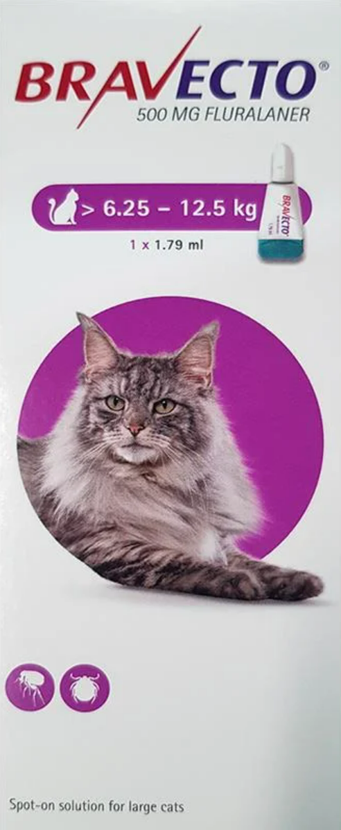 Bravecto Spot on for Large Cat, Treat flea & Tick | 79PETS