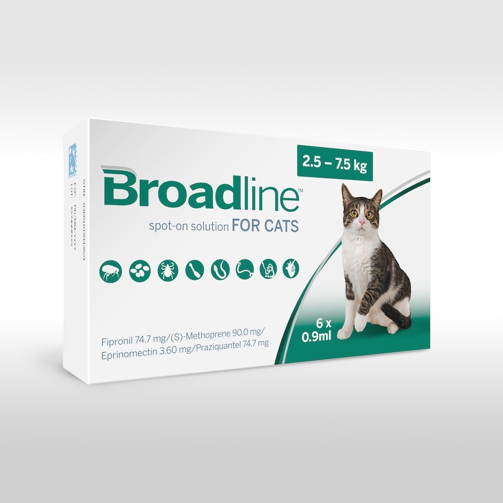 Broadline for Large Cat. Solution for flies & ticks | 79PETS